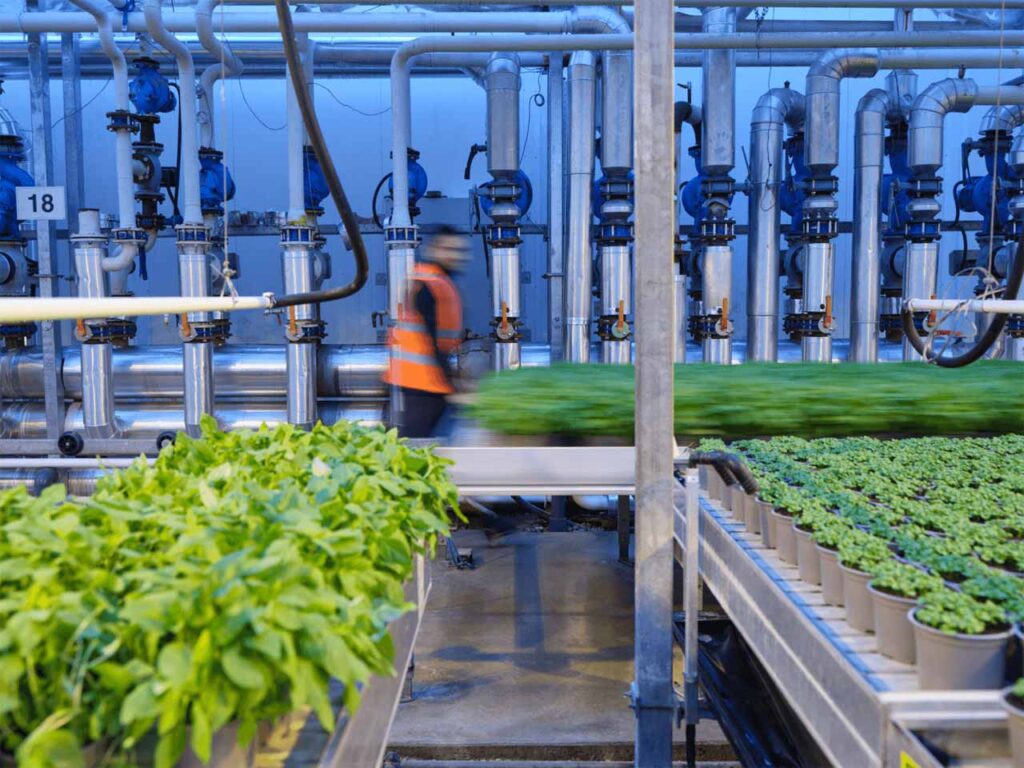 Vitacress Factory | SSH Cleaning